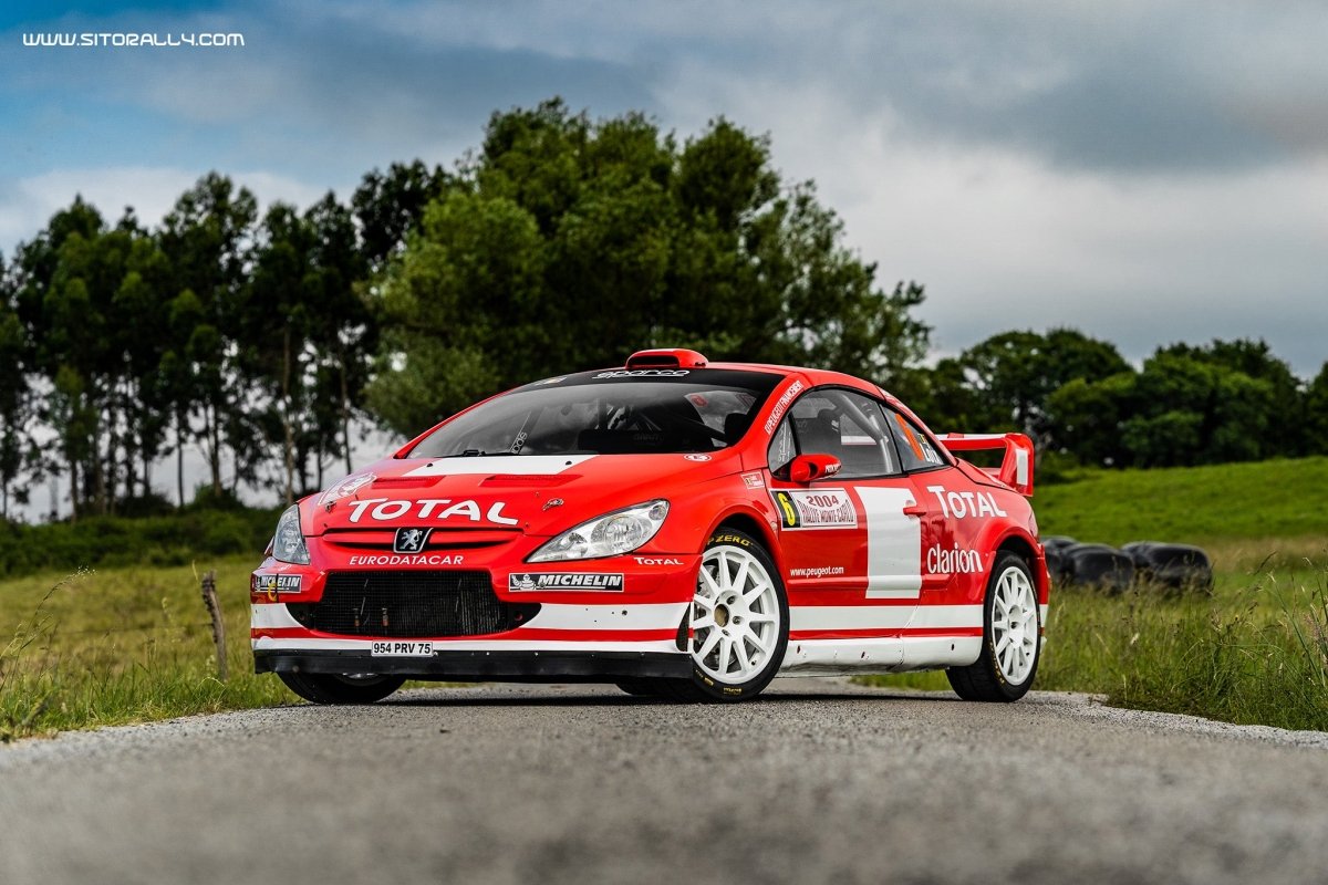 Peugeot 307 WRC Livery